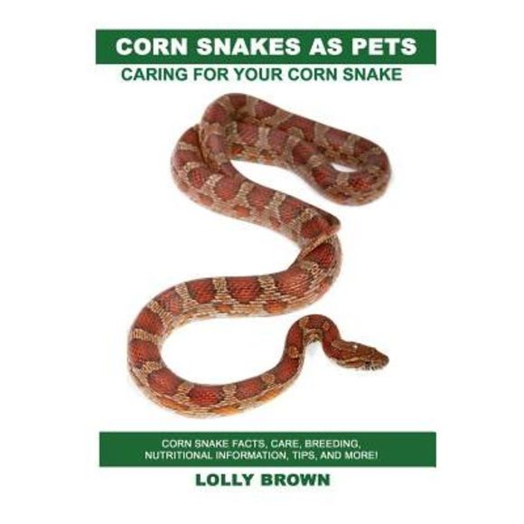 Lolly Brown | Other | Corn Snakes As Pets Corn Snake Facts Care Breeding Nutritional Information ...